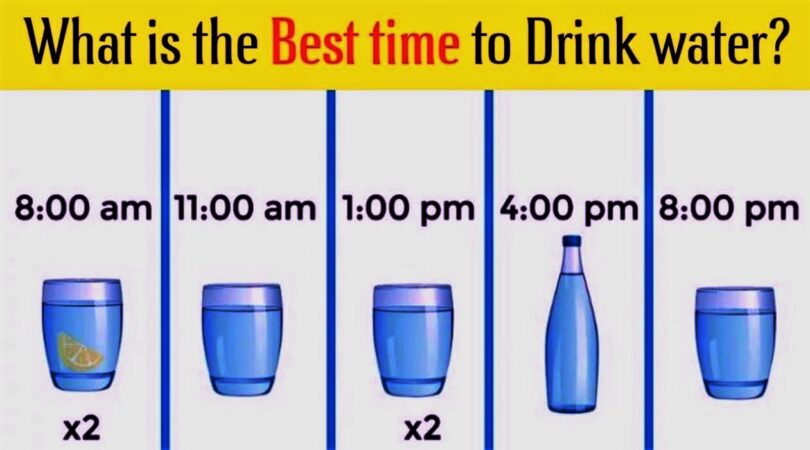 How Many Bottles Of Water Should You Drink A Day?Part1 - World Of Recipes How Many Bottles Of Water Should You Drink A Day?Part1 - World Of Recipes